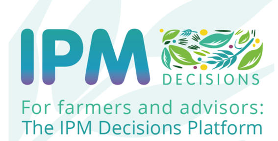 INTIA está trabajando en la validación del modelo de septoria en cereal en la plataforma IPM ...